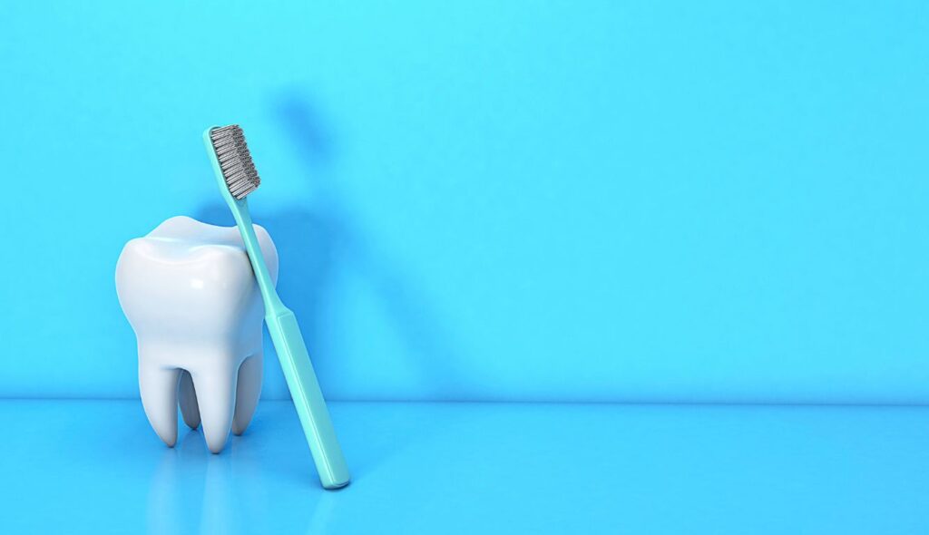 The Anatomy Of Your Teeth - Kaufman Dentistry